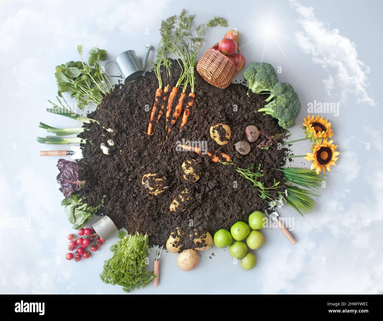 Organic fruits and vegetables growing in circular eco garden surrounded ...