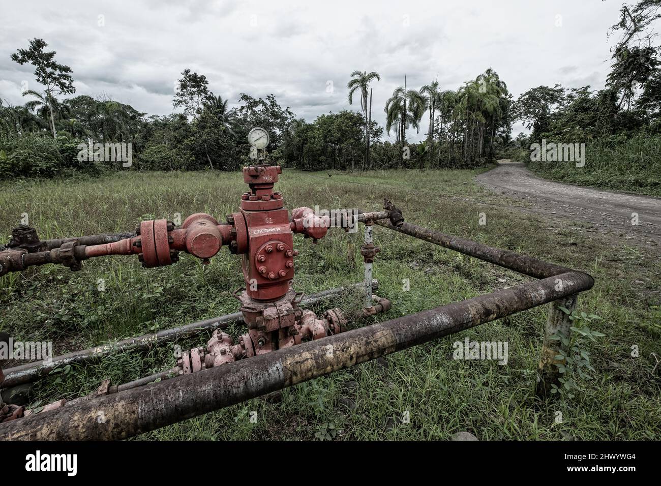 Crude oil, pollution, Ecuador, Texaco, Chevron, sick people ...