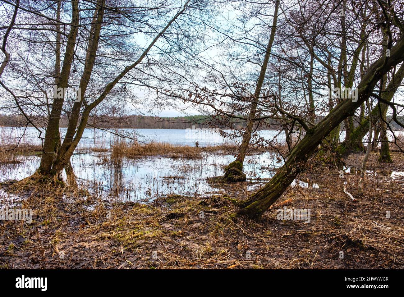 Vistula river estuary to Baltic Sea shore aside Gull Sandbank - Mewia ...