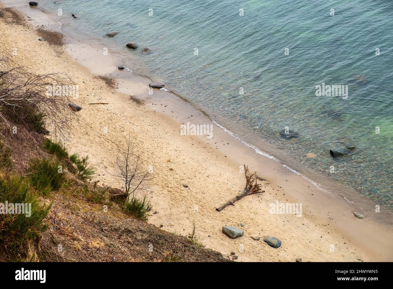 Subsiding slope of Klif Orlowski Cliff - loess steep shore undermined ...
