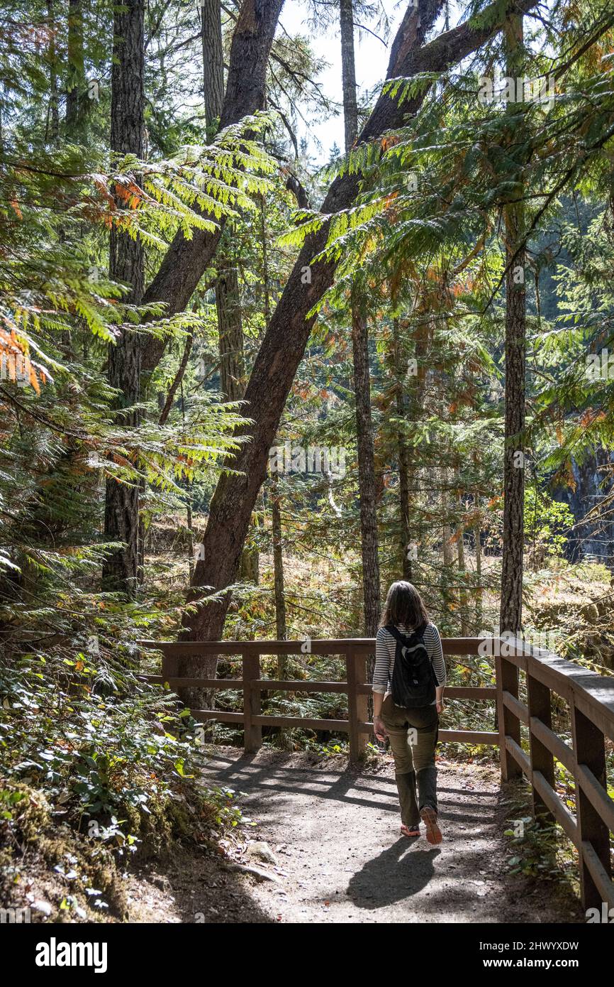 Female tourist walking on a trail in Englishman River Falls Provincial ...