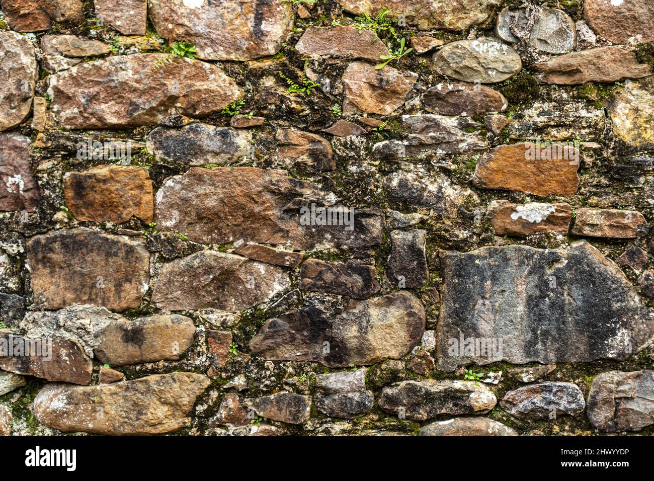 Old stone wall covered in green moss Stock Photo - Alamy
