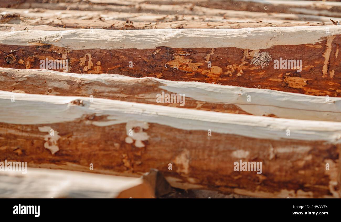 Construction site of wooden houses made of solid cedar logs Stock Photo ...