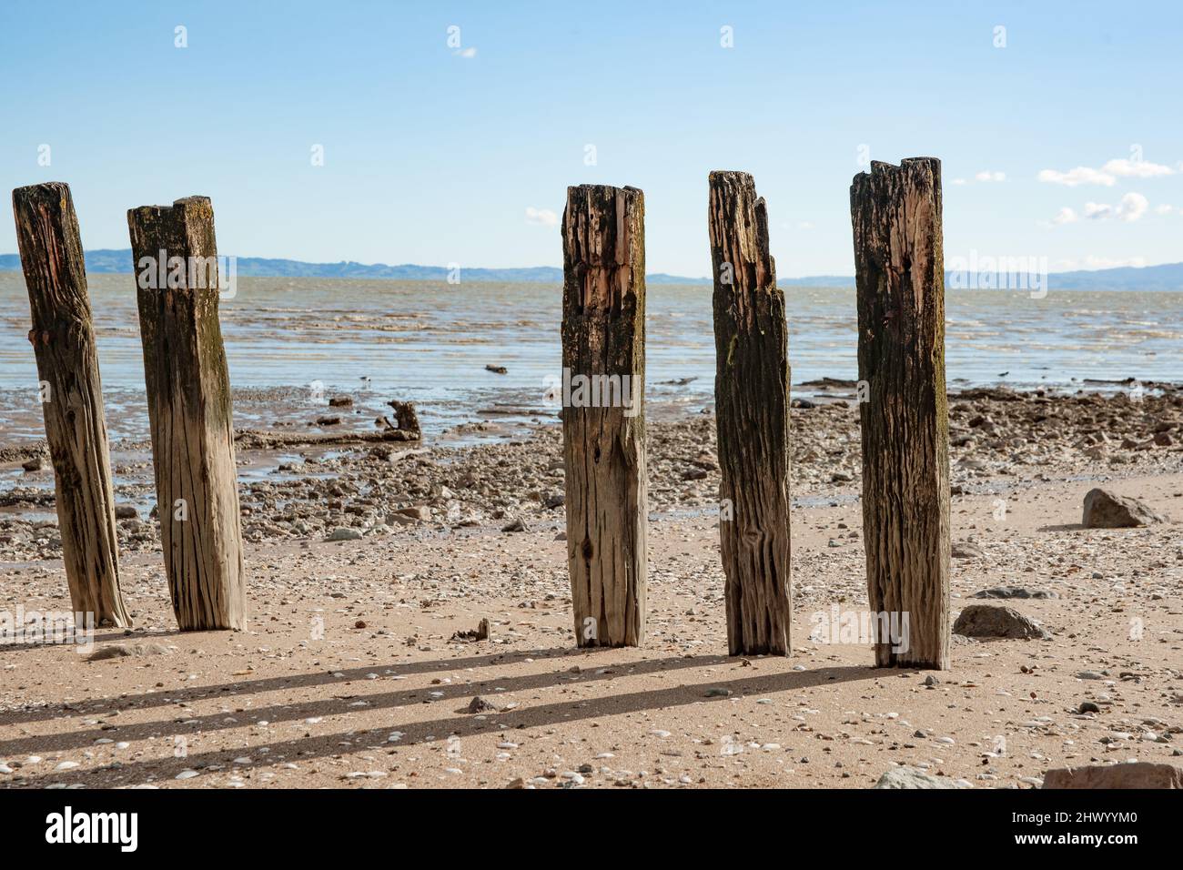 Old weathered jetty posts standing in row on beach casting shadow on ...