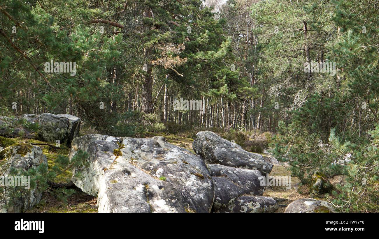 Rochers et arbres hi-res stock photography and images - Alamy