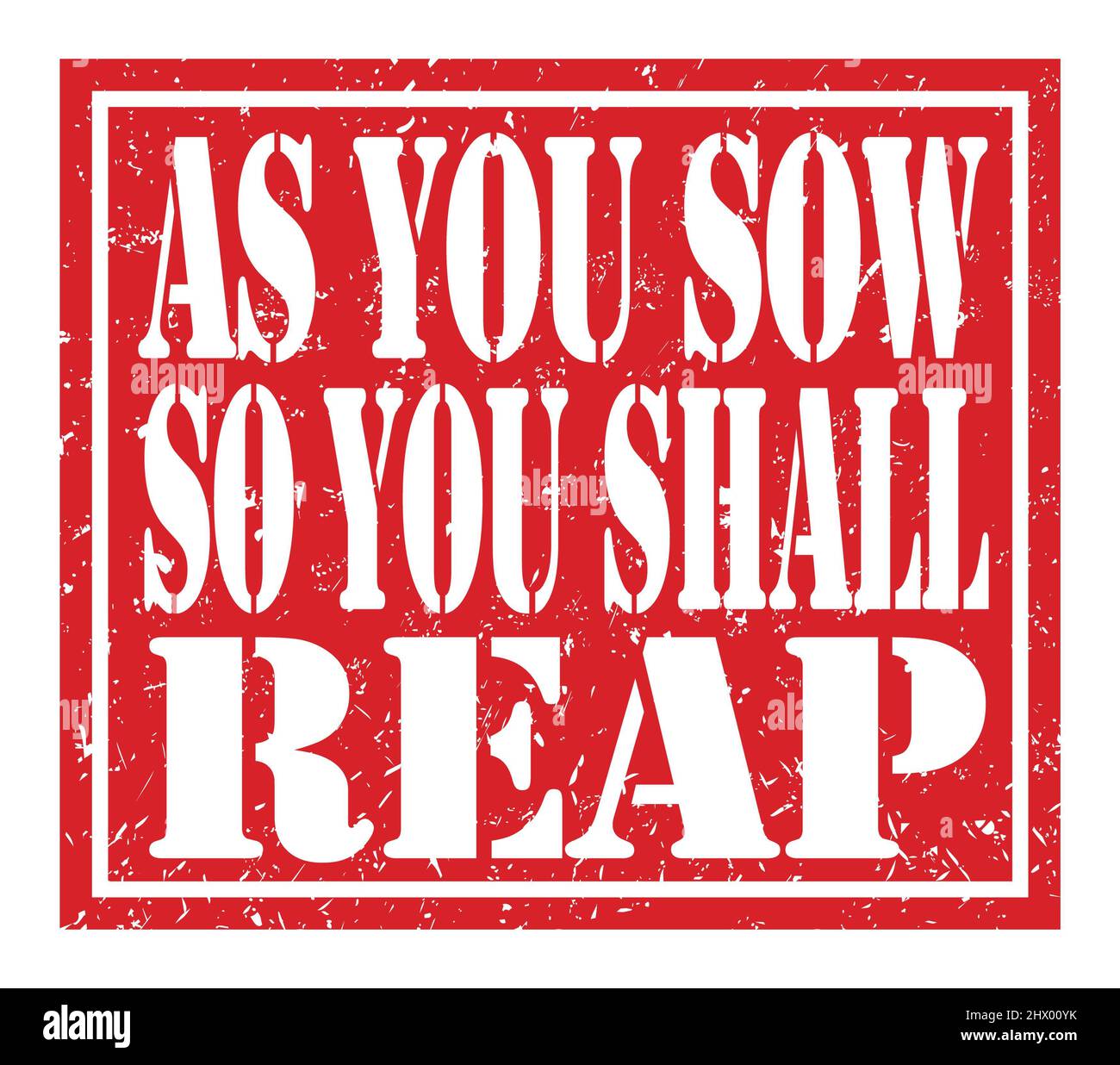 AS YOU SOW SO YOU SHALL REAP, words written on red stamp sign Stock ...