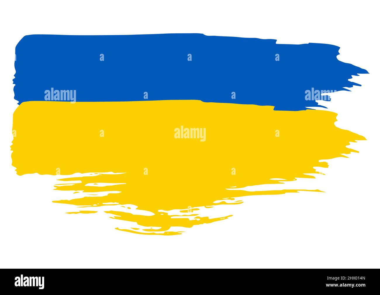 The flag of Ukraine is painted with paint. Ukraine flag in grunge style ...
