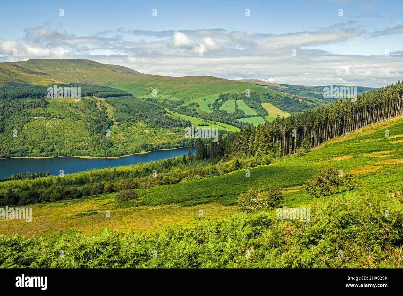 The view from Bwlch y Waun across to Waun Rydd and the Talybont ...