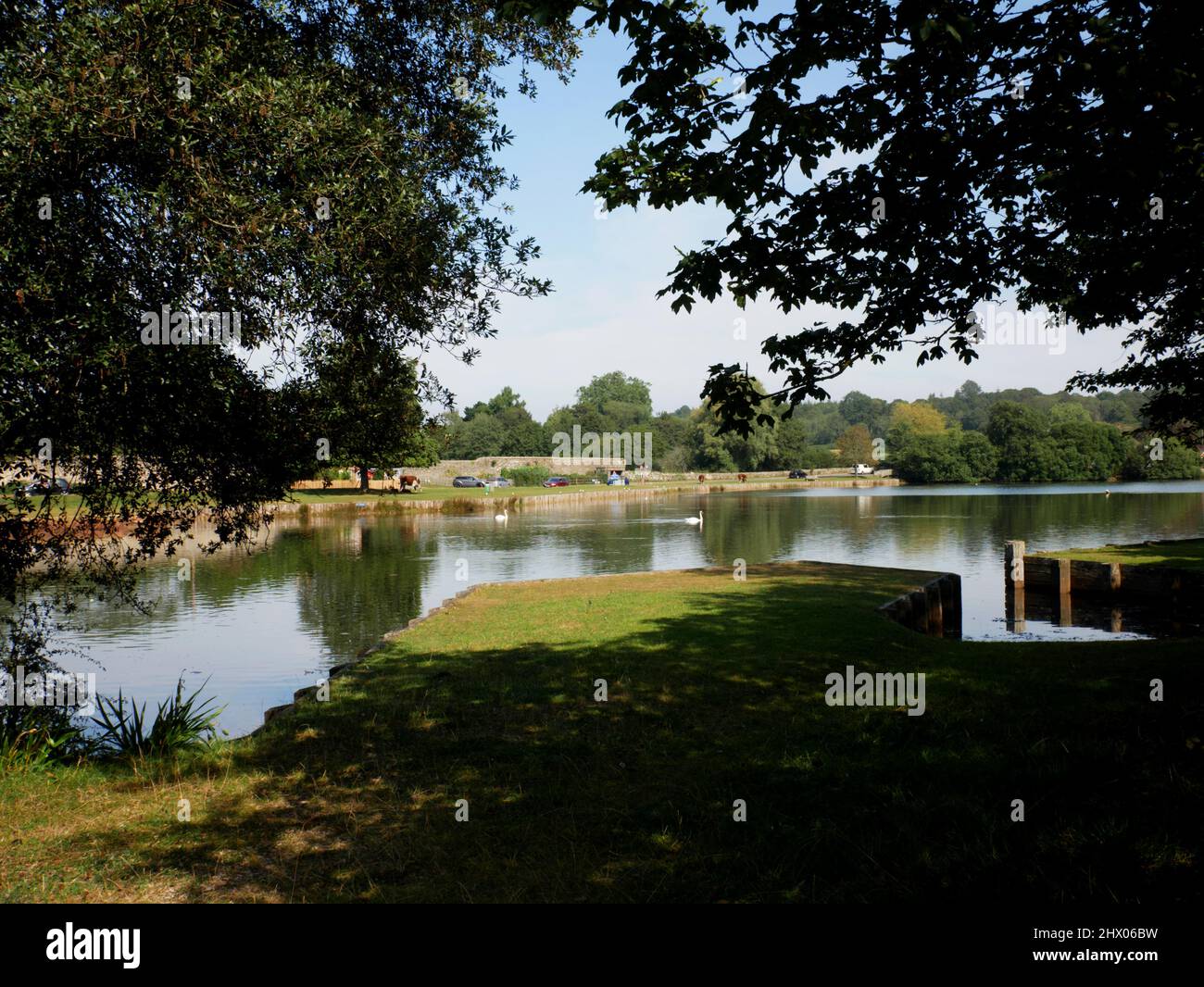 The Beaulieu River, Beaulieu, New Forest, Hampshire Stock Photo - Alamy