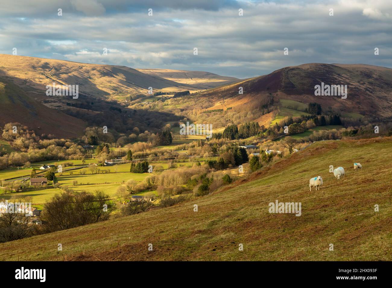 The rolling hills of the Swansea Valley and the valley leading to ...