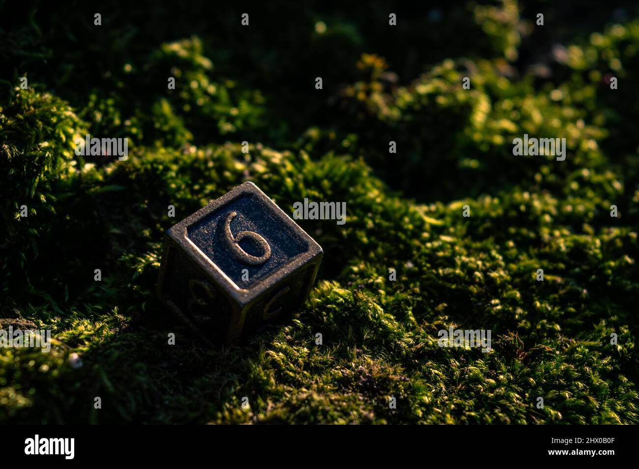 6 sided die hi-res stock photography and images - Alamy