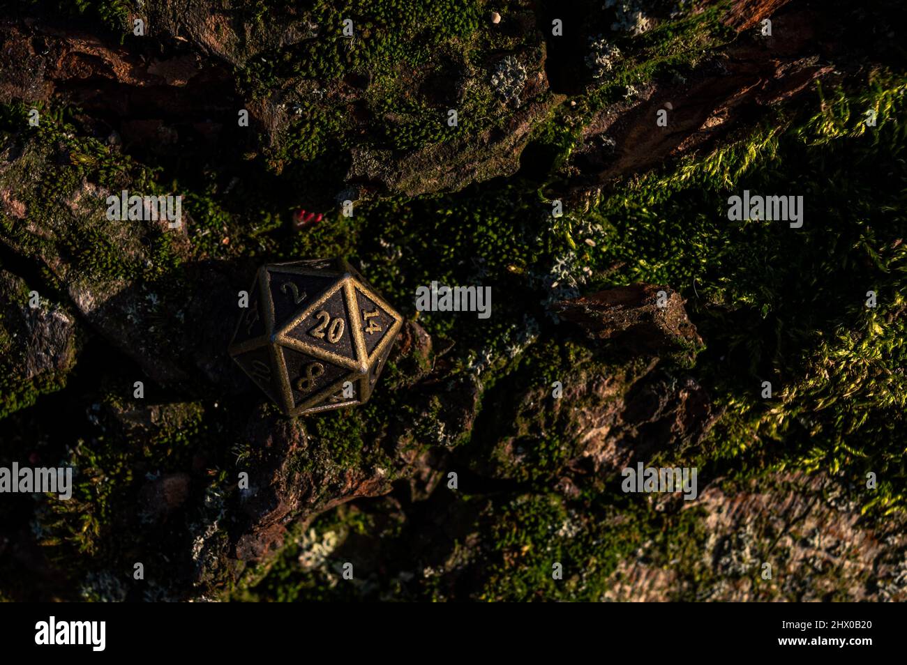 Close-up image of a metal role-playing gaming die in the sun Stock ...