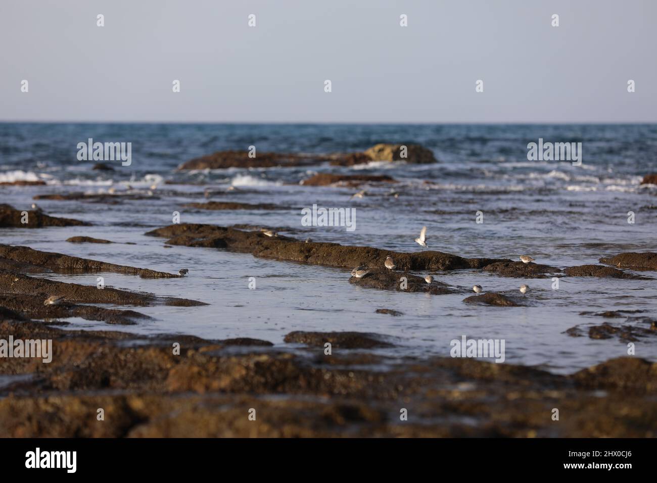 Landscape of rock and sea High quality Stock Photo - Alamy