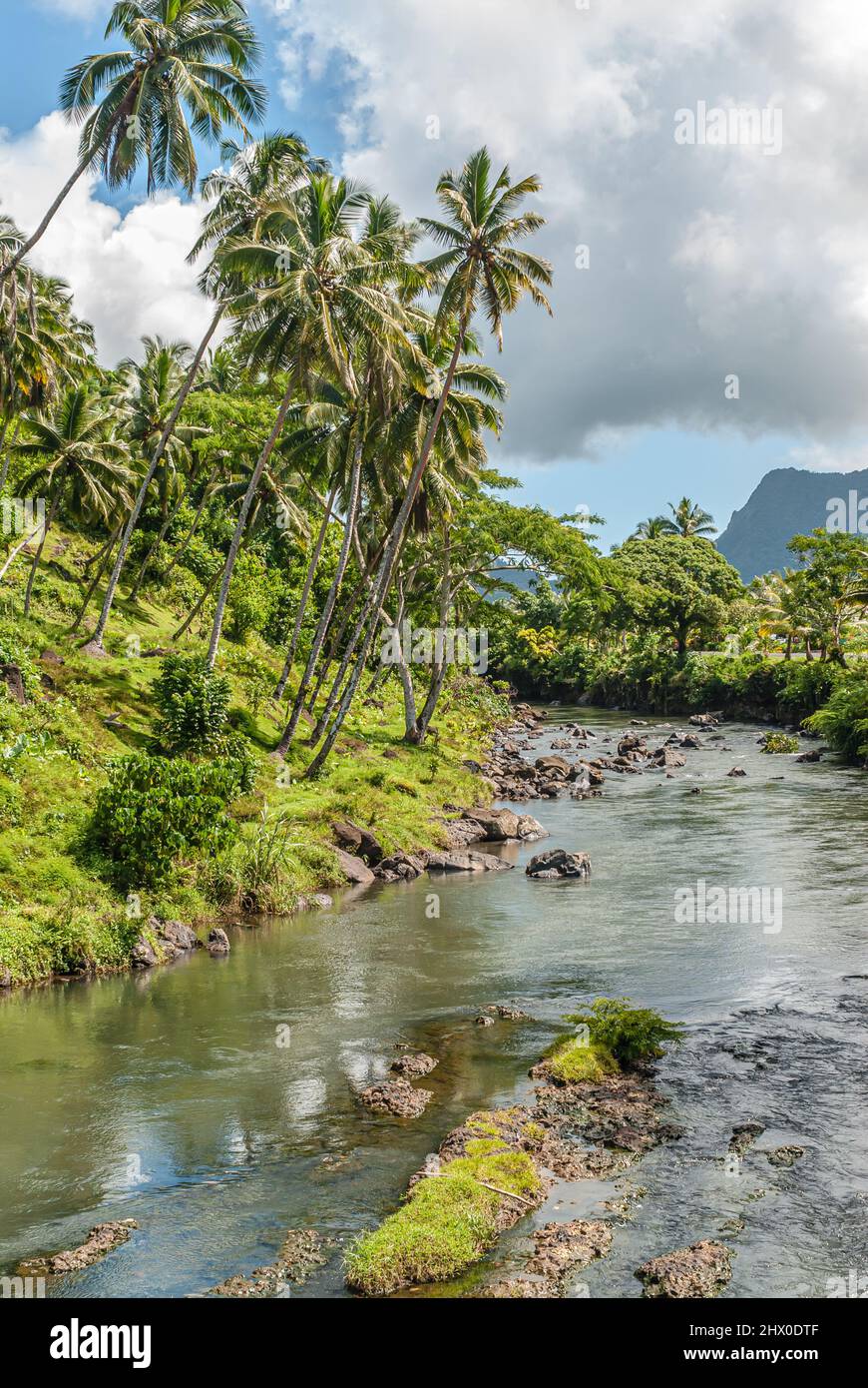 Rainforest river near Falefa Falls, Upolu Island, Western Samoa Stock ...