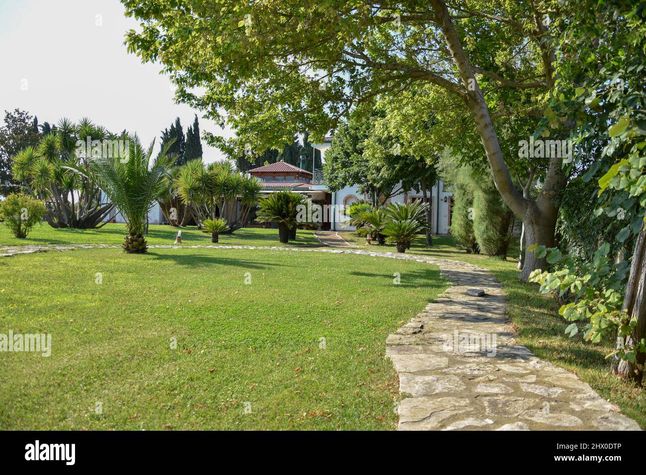 Sunny Grass Neat the house with trees Stock Photo - Alamy