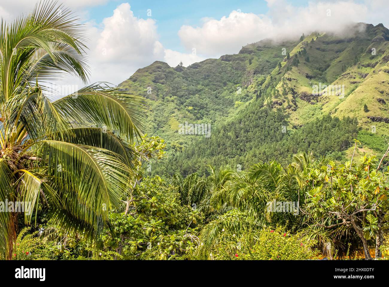 Beautiful mountain in moorea hi-res stock photography and images - Alamy