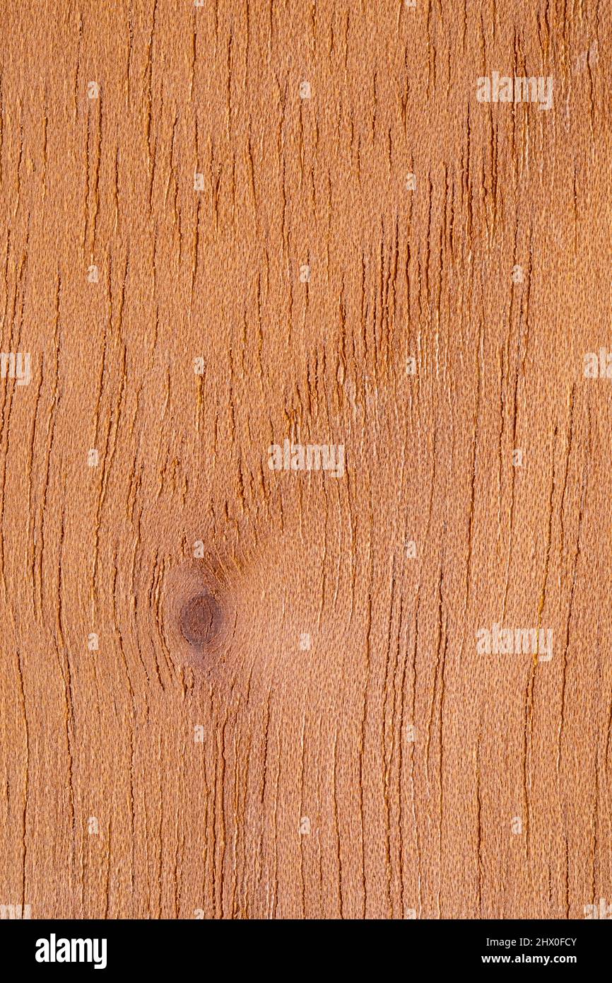 Macro Close up of wooden texture of Cedar wood cigar box surface Stock ...