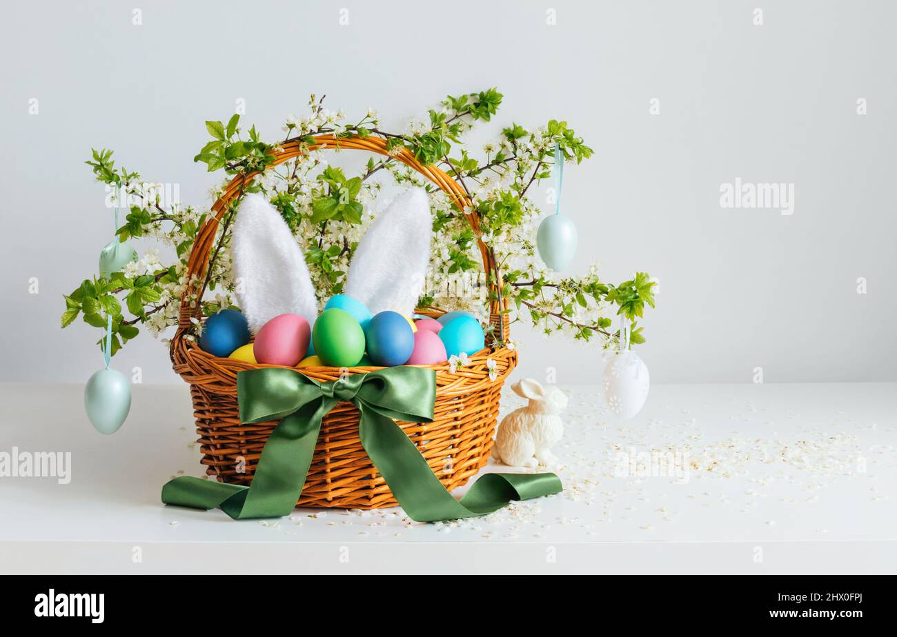 Easter eggs in a basket, bunny ears and cherry blossoms on a white ...
