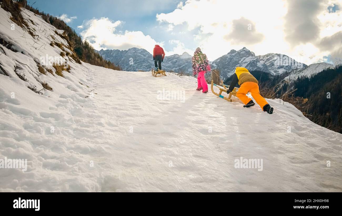 Father and kids, boy and girl, pulling empty wooden sleds uphill ...