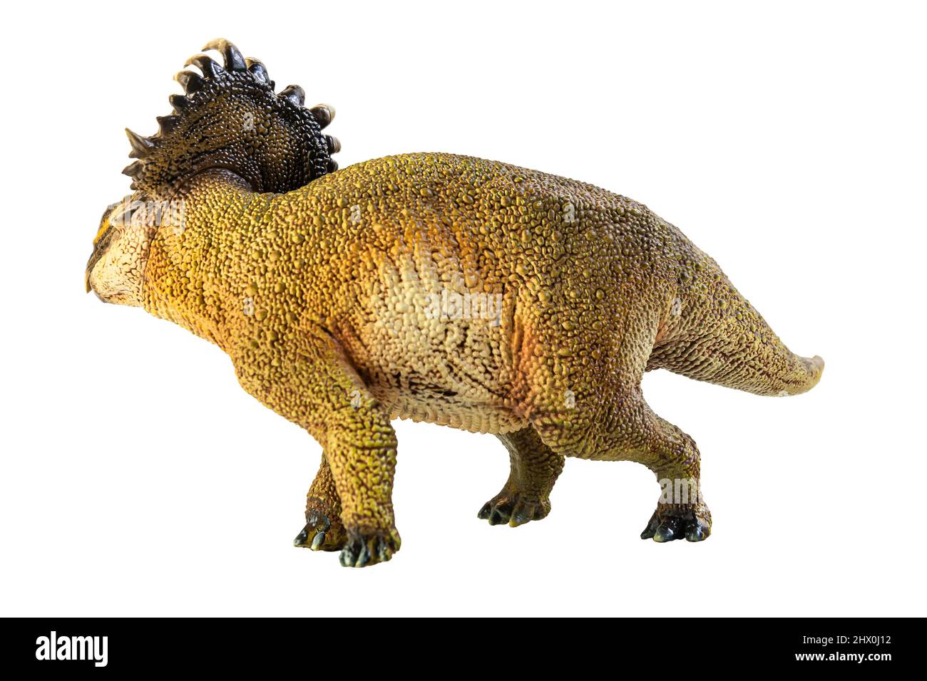 SINOCERATOPS , dinosaur on white background Stock Photo - Alamy