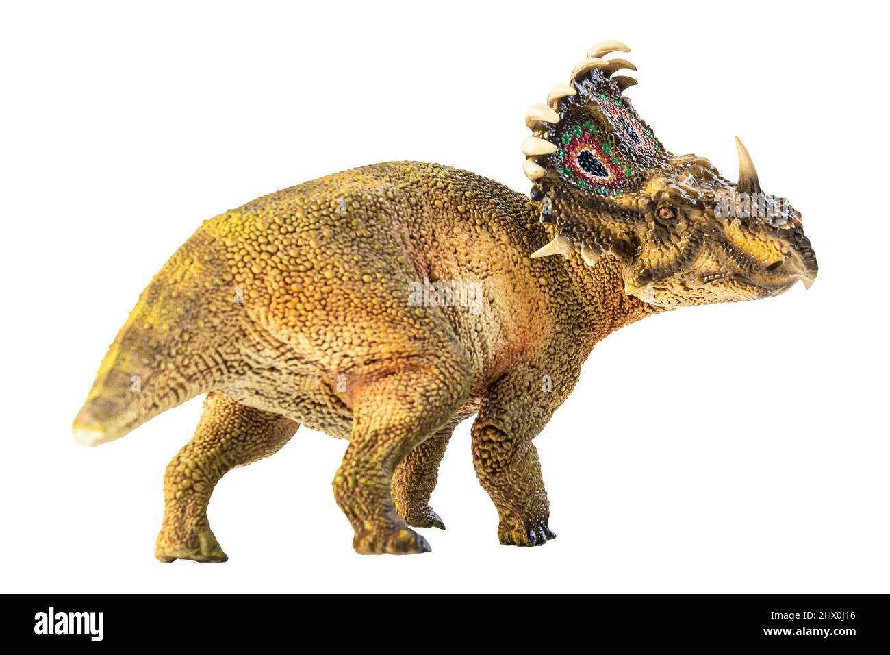 SINOCERATOPS , dinosaur on white background Stock Photo - Alamy