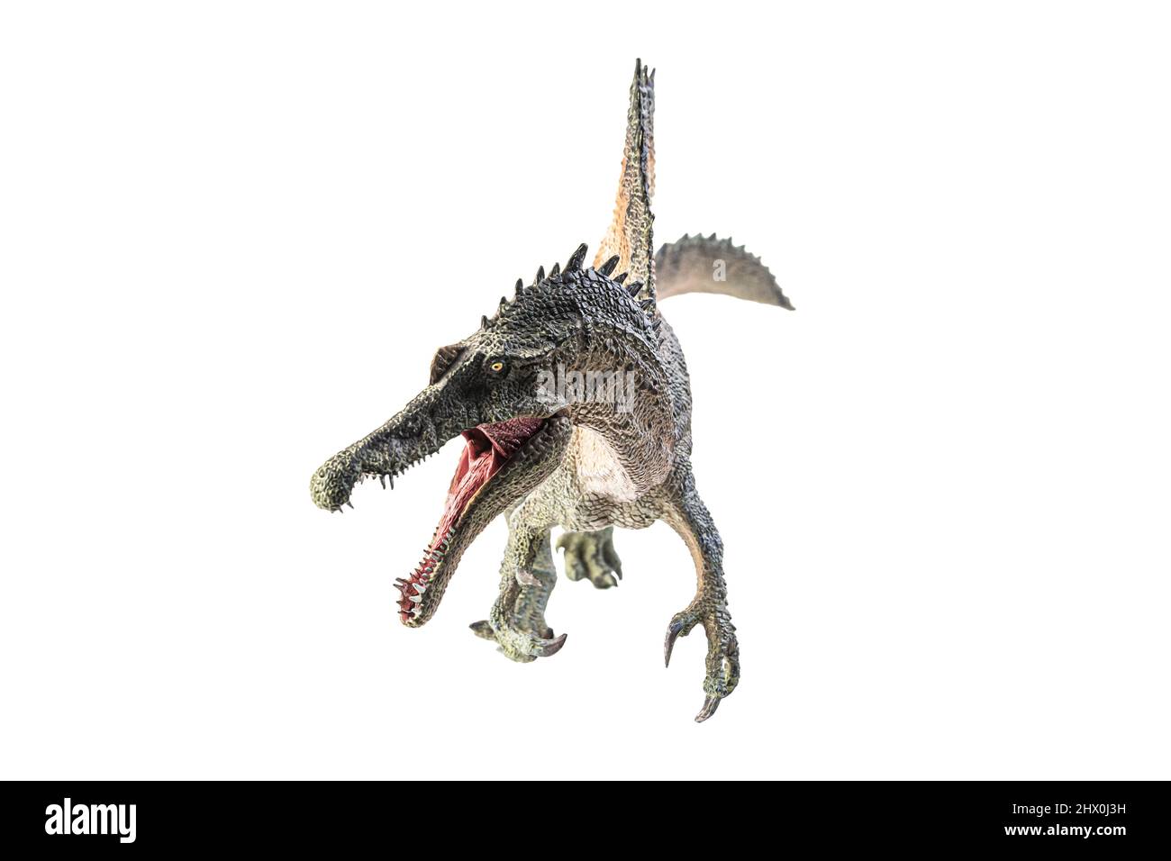 Spinosaurus , dinosaur on white background Stock Photo - Alamy