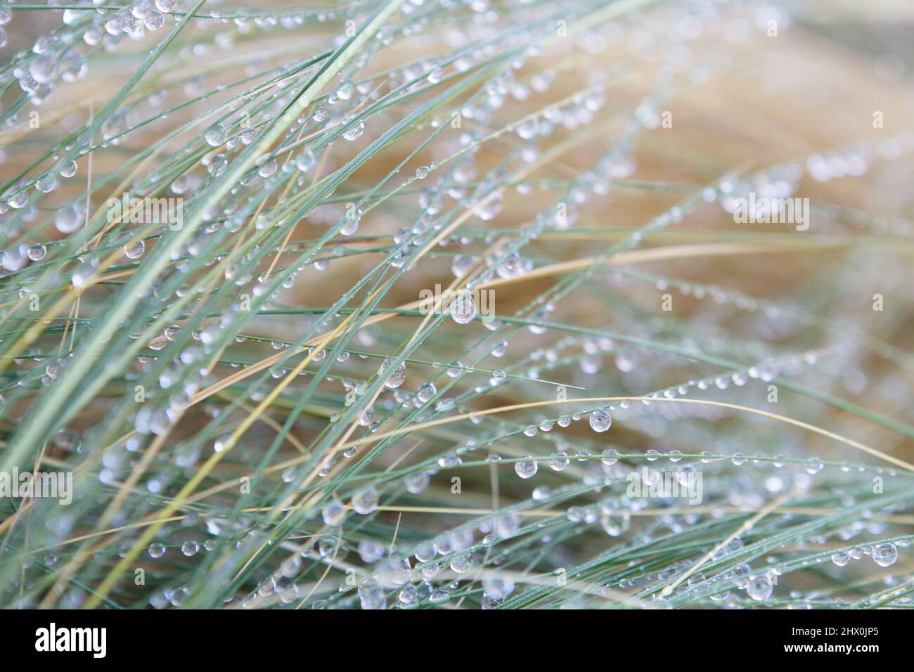 Moisture daytime hi-res stock photography and images - Alamy