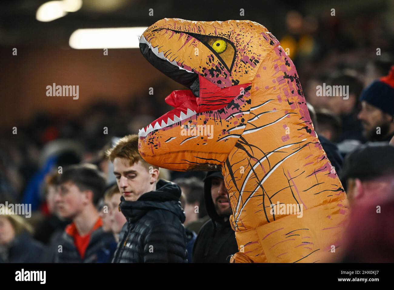 Middlesbrough fan hi-res stock photography and images - Alamy