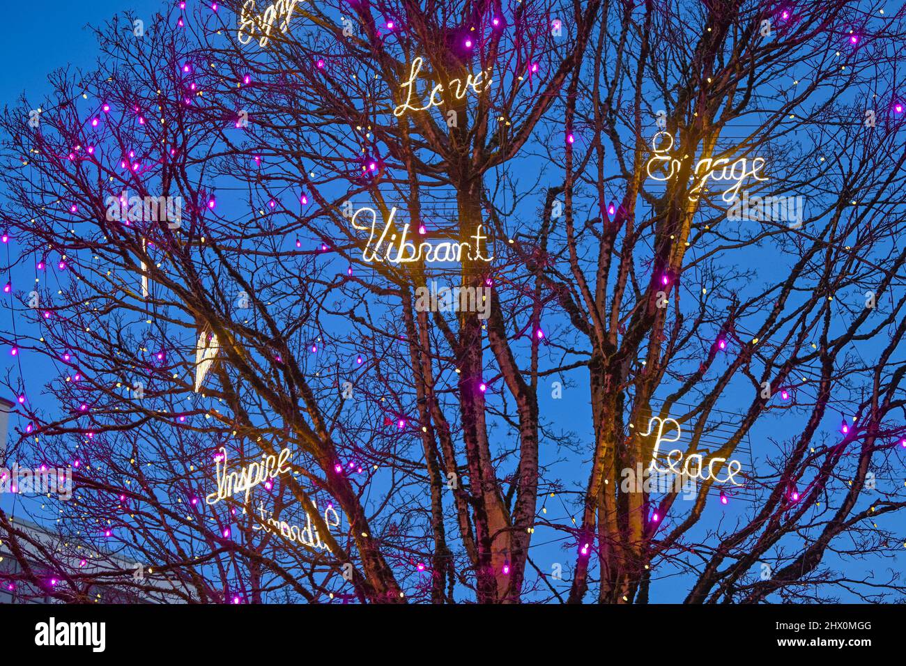 Pink lights and illuminated words in trees, Gastown, Vancouver, British ...