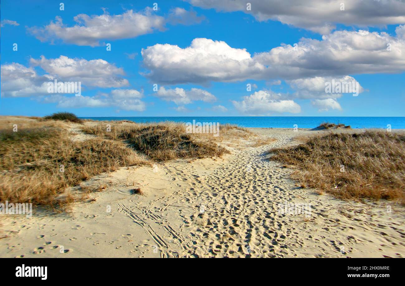 Ridgevale Beach Bridge at Chatham, Cape Cod Stock Photo - Alamy
