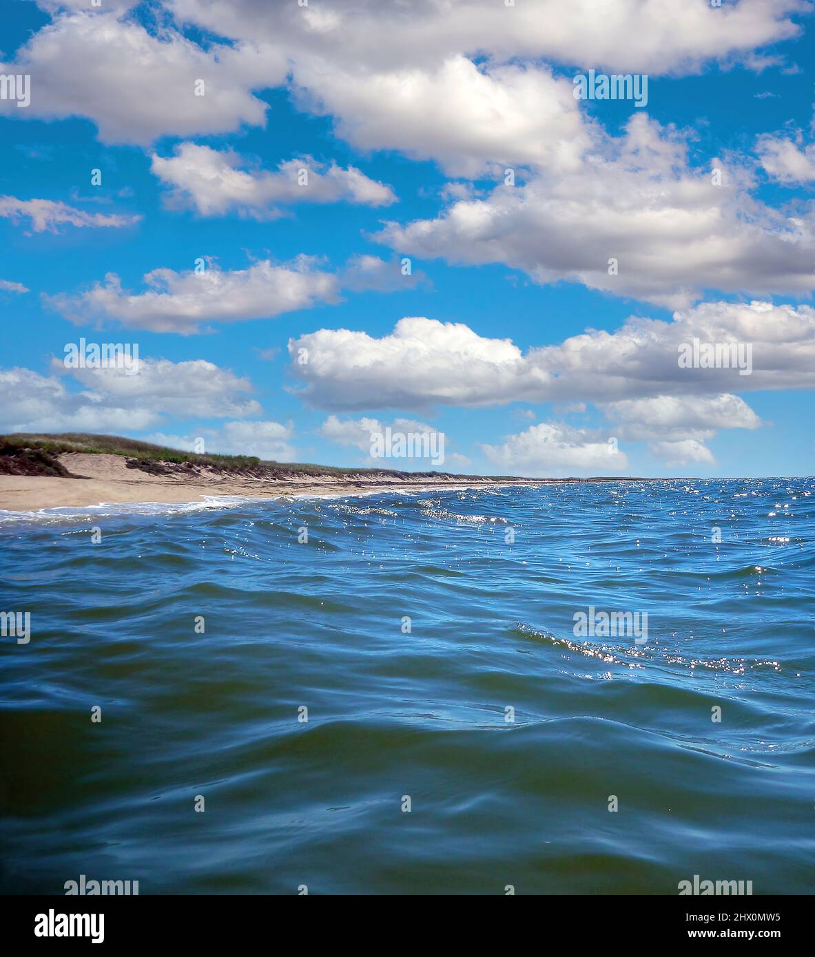 Atlantic Ocean Swimming at Hardings Beach in Chatham, Cape Cod Stock ...