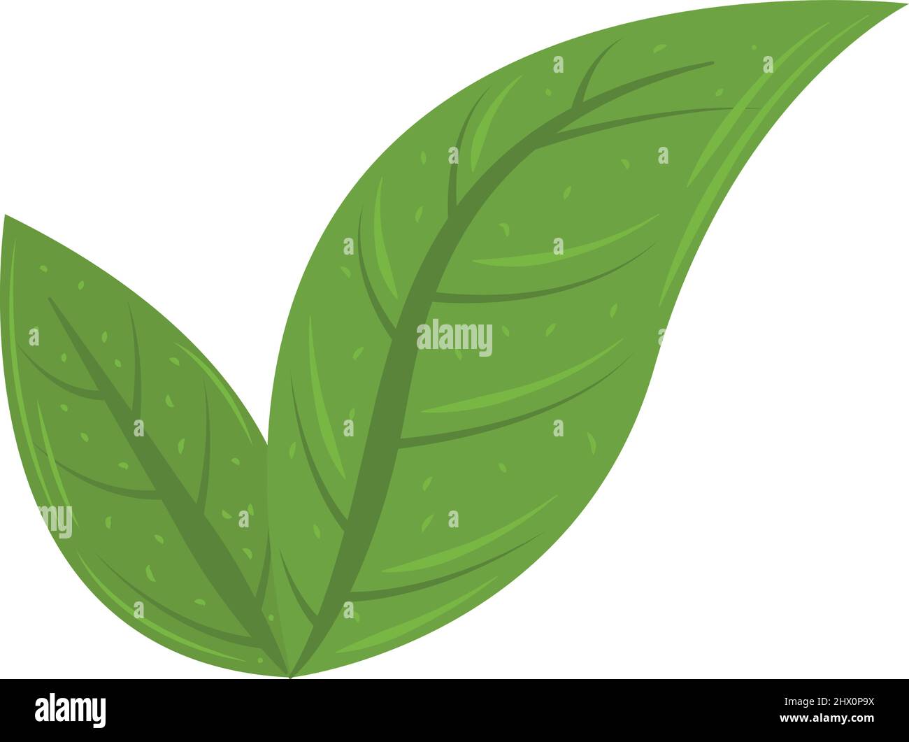 nature leaves icon Stock Vector Image & Art - Alamy