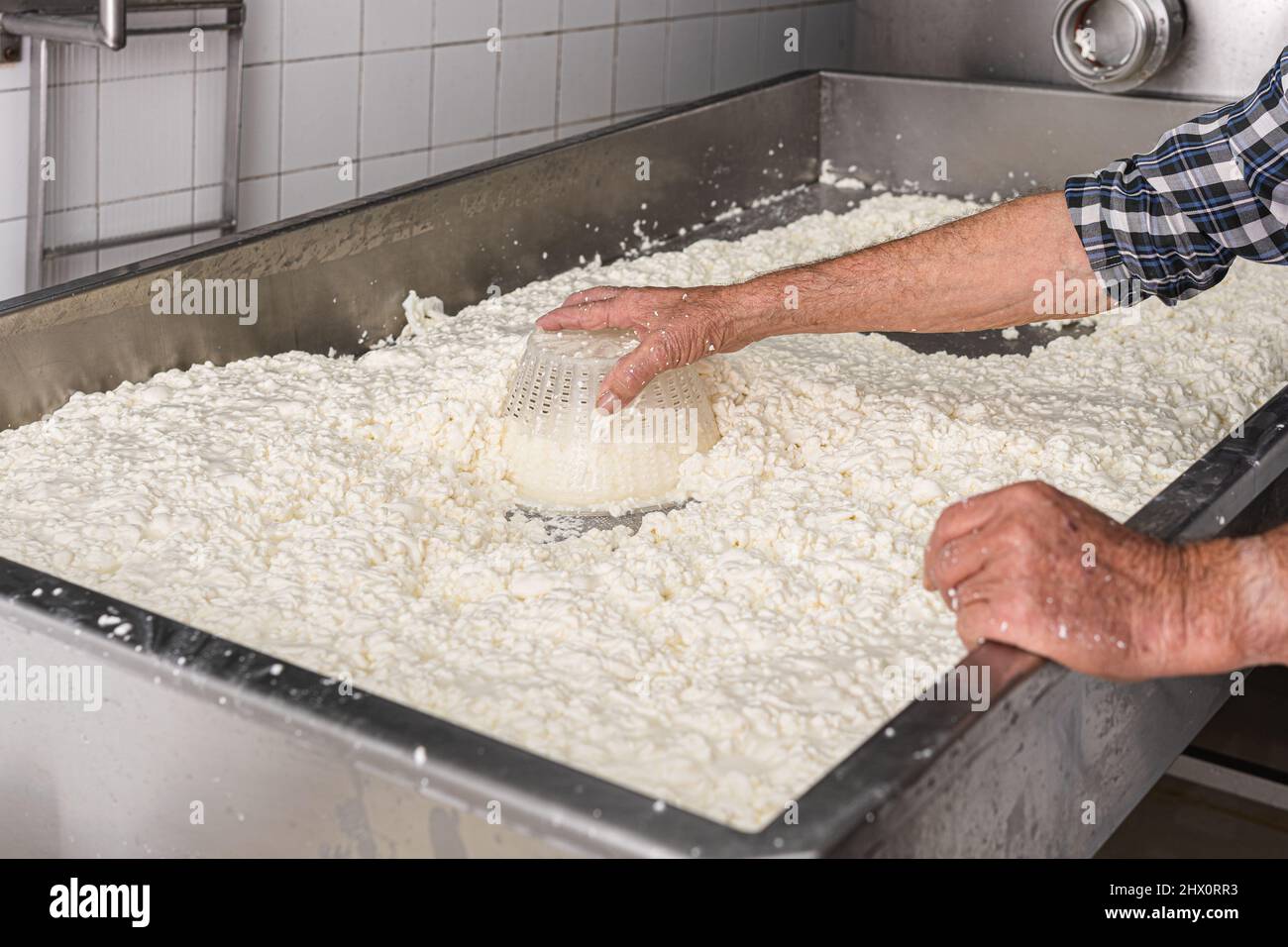 older man stirs the curd with a sieve to separate it from the whey ...