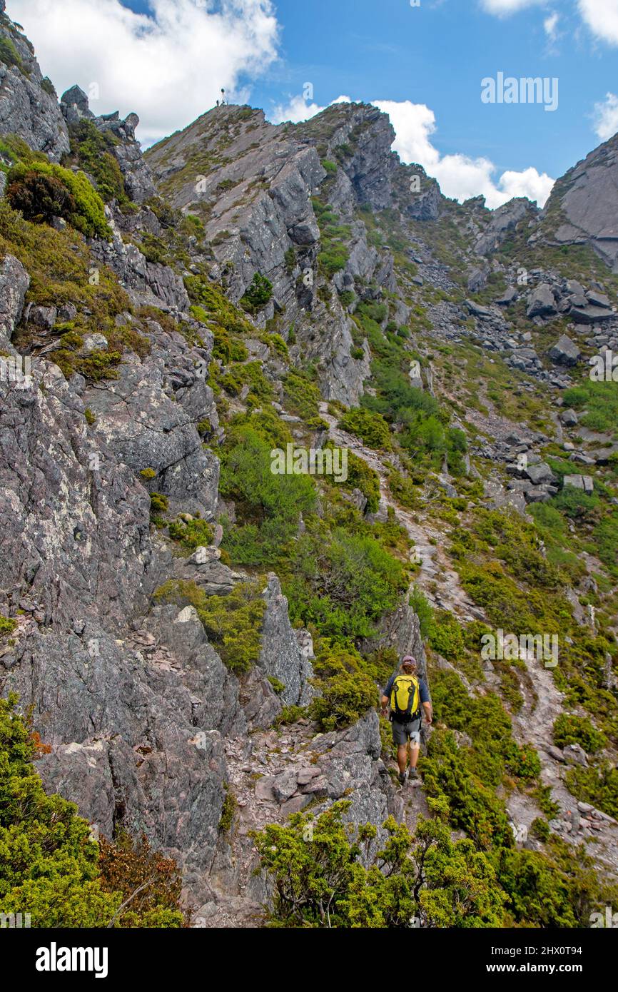 Hiker nearing the summit of Mt Murchison Stock Photo - Alamy
