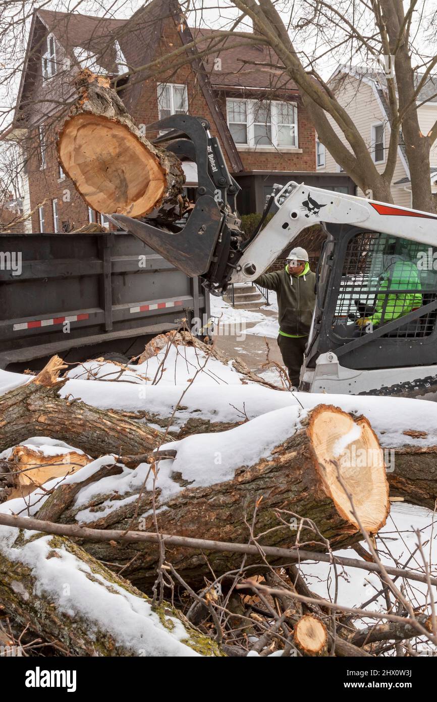 Detroit, Michigan - Workers for Detroit Grounds Crew remove unwanted ...