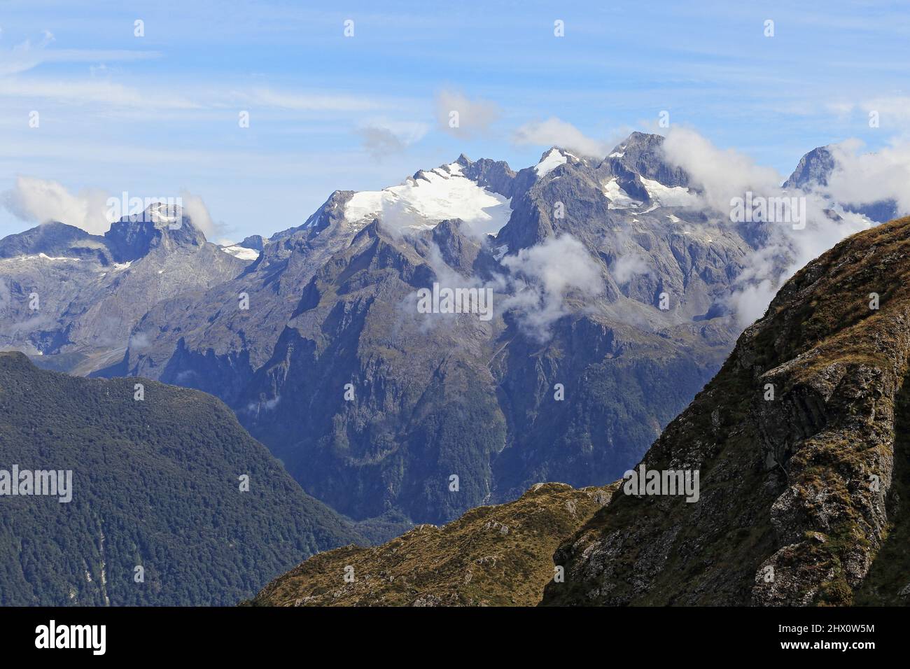 Nz bush track hi-res stock photography and images - Alamy