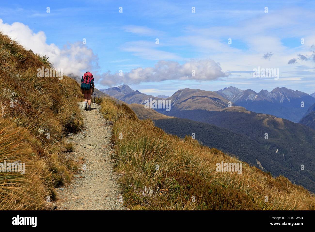Routeburn Track Fiordland New Zealand Stock Photo - Alamy