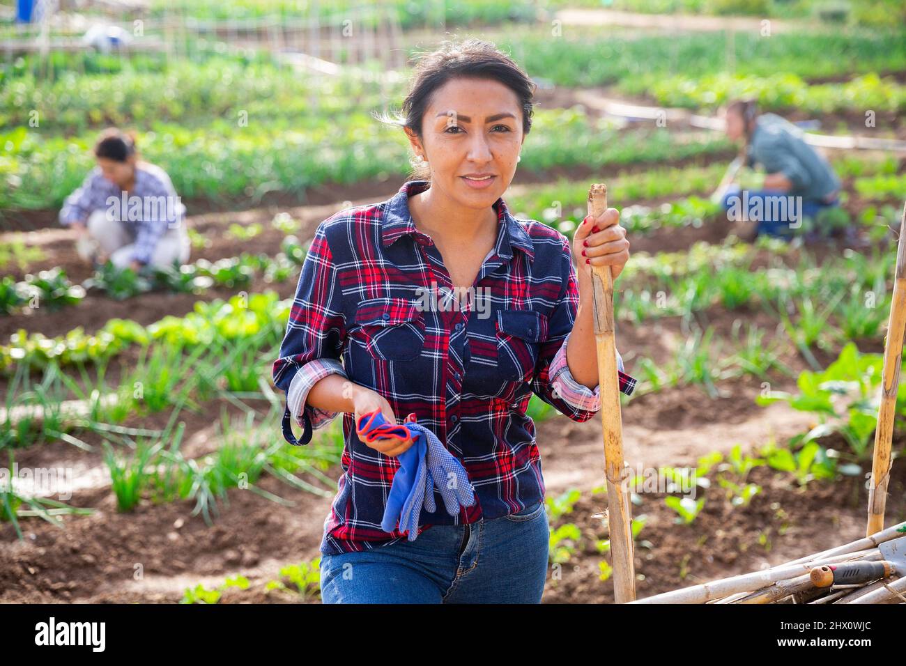 Female farmer with shovel in the backyard of arm Stock Photo - Alamy
