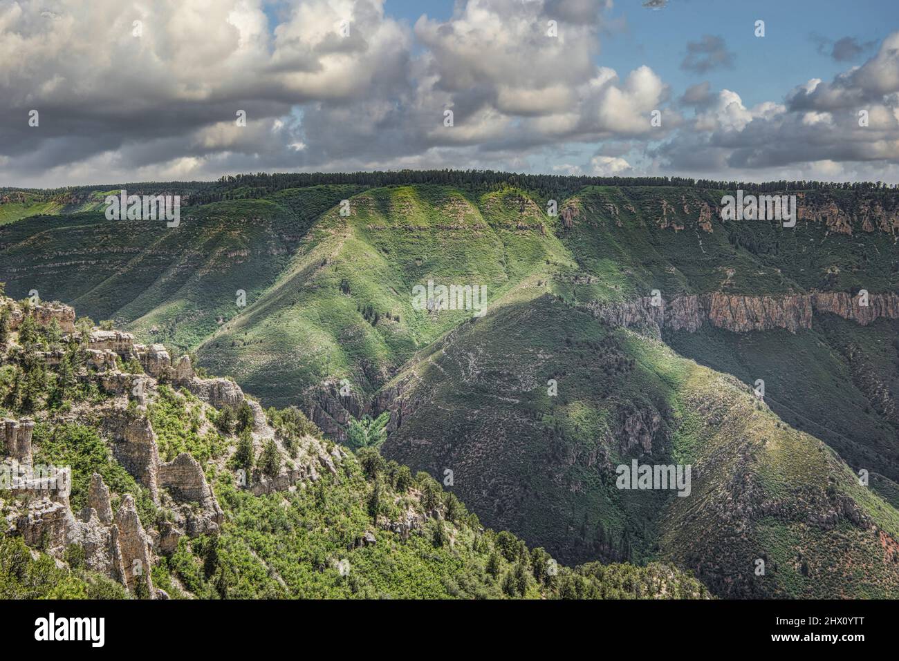 North Rim Grand Canyon greenery Stock Photo - Alamy
