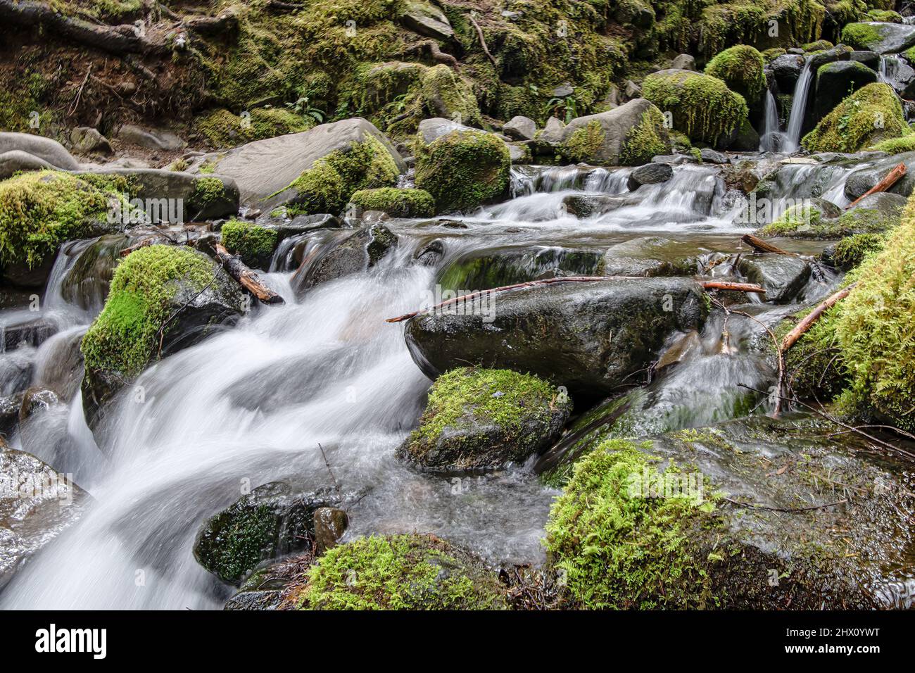 Sol Duc Falls in the Olympic Peninsula Stock Photo - Alamy