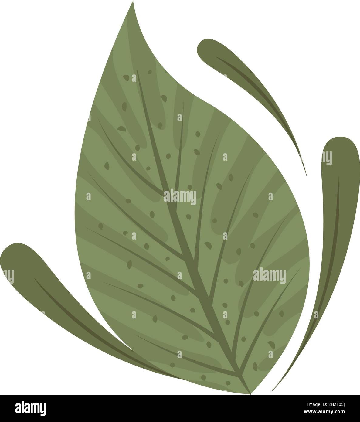 leaf cartoon icon Stock Vector Image & Art - Alamy