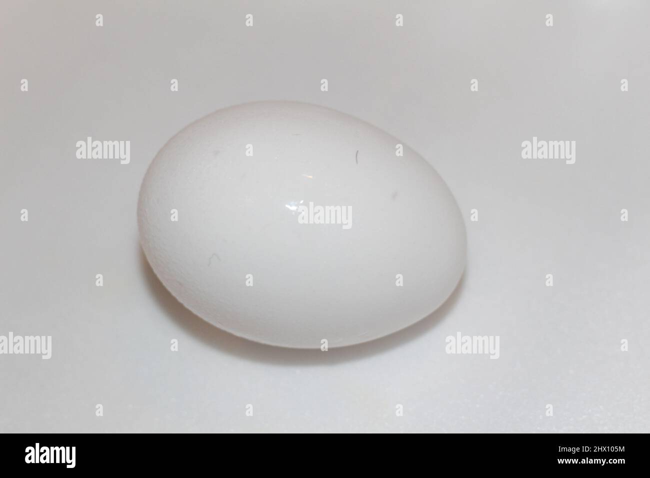Single white egg hi-res stock photography and images - Alamy