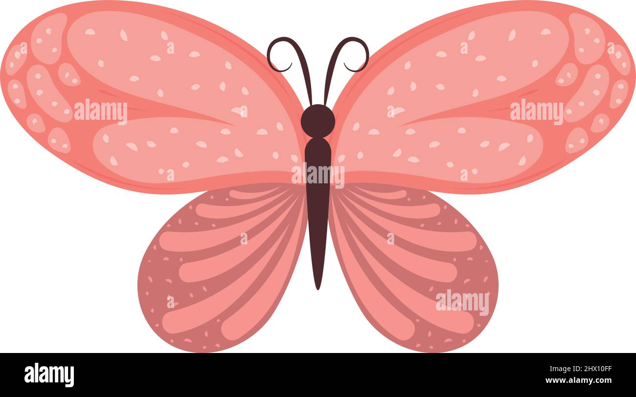 cute butterfly icon Stock Vector Image & Art - Alamy