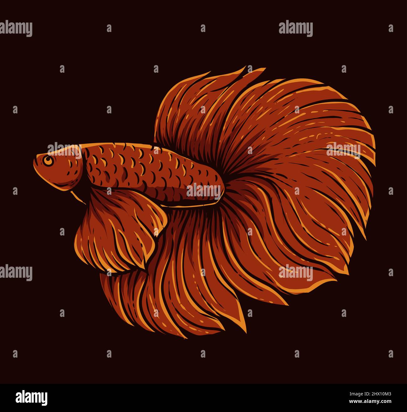illustration vector beautiful betta fish Stock Vector Image & Art - Alamy