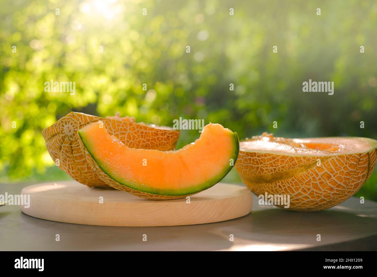 Melon in a cut . Appetizing summer fruits.melon in a summer garden ...
