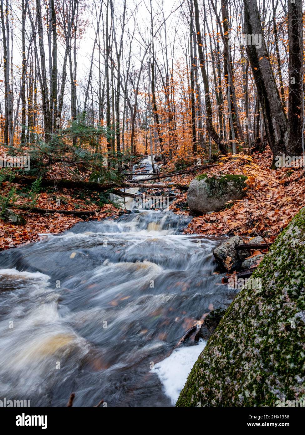 Long exposure of a small creek in beautiful autumn colors Stock Photo ...