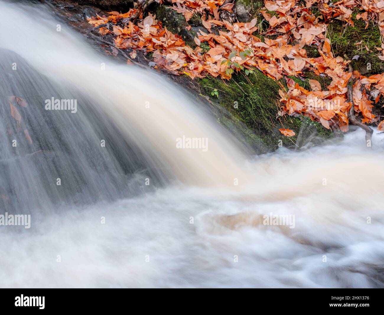 Long exposure of a small creek in beautiful autumn colors Stock Photo ...