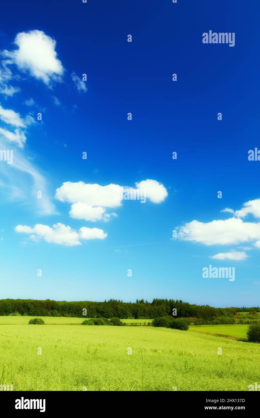 Nature in Denmark. A photo of the countryside at summertime Stock Photo ...