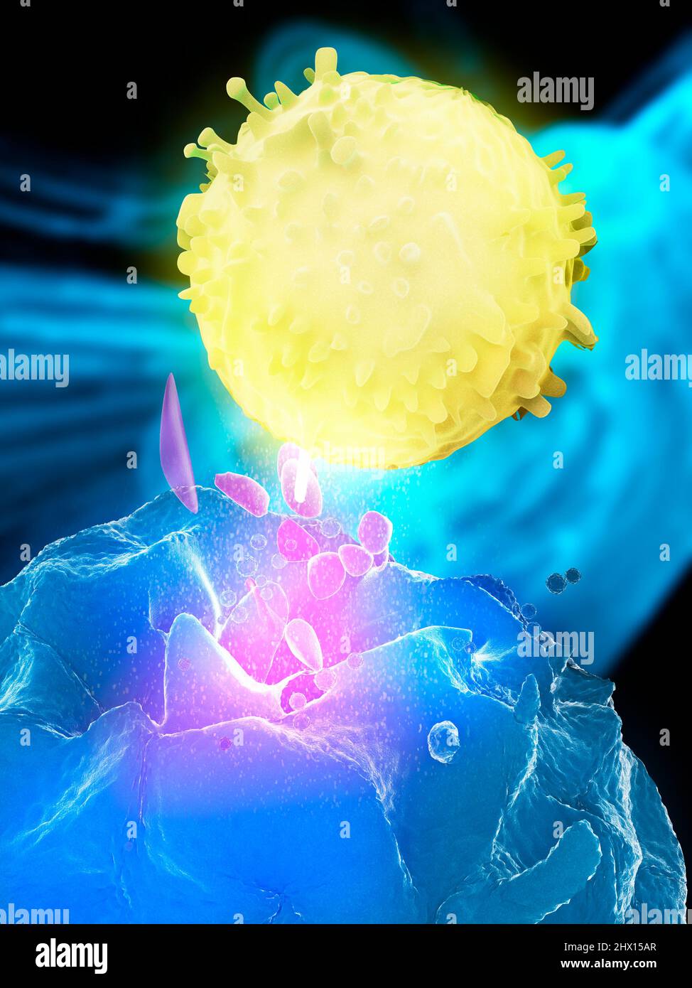 Natural killer cell attacking target, illustration Stock Photo - Alamy