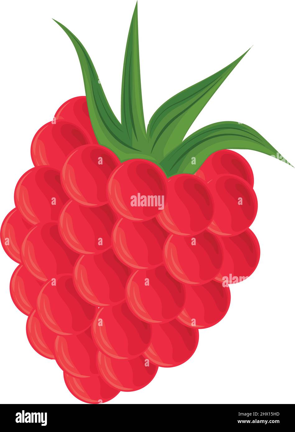raspberry fruit icon Stock Vector Image & Art - Alamy